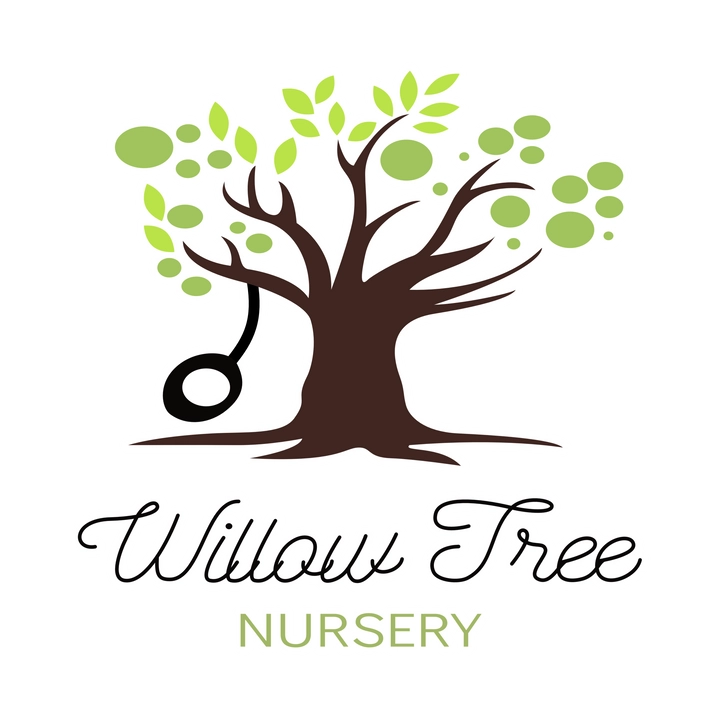 Willow Tree Nursery